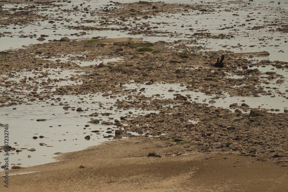 Save water save river The river has been dying at an alarming rate ...