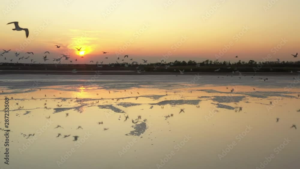 4k, Sunset on Tuzla salt lake, seagulls sit on the surface of the ...