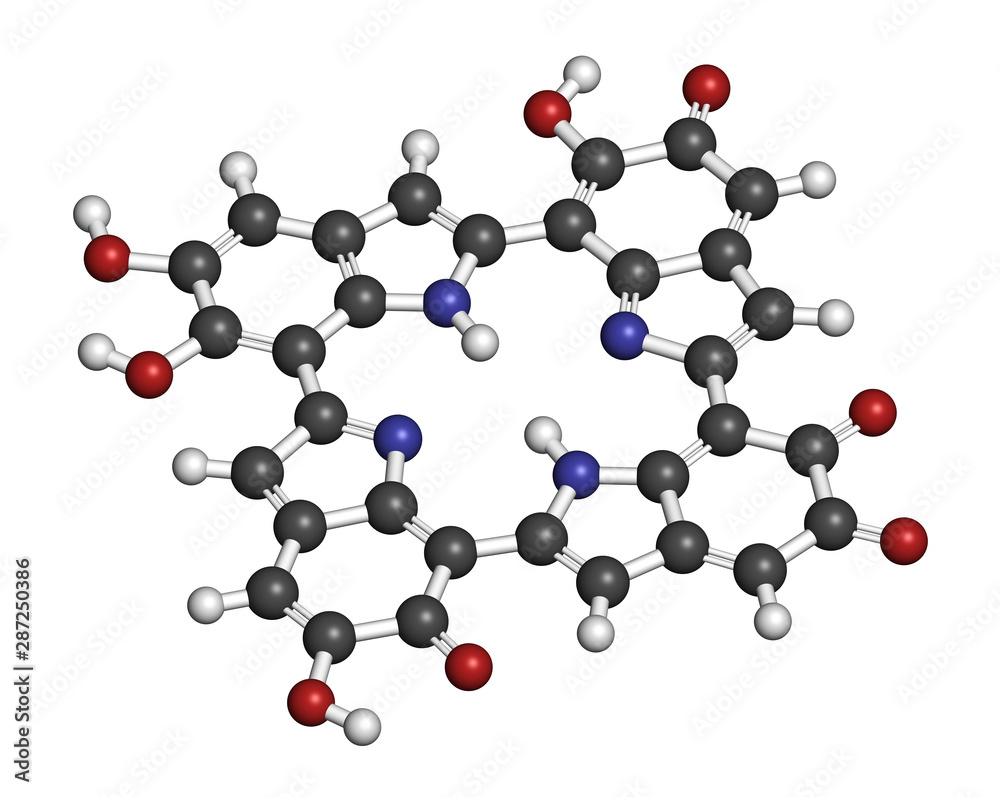 Melanin (eumelanin), proposed oligomeric structure model. Primary ...