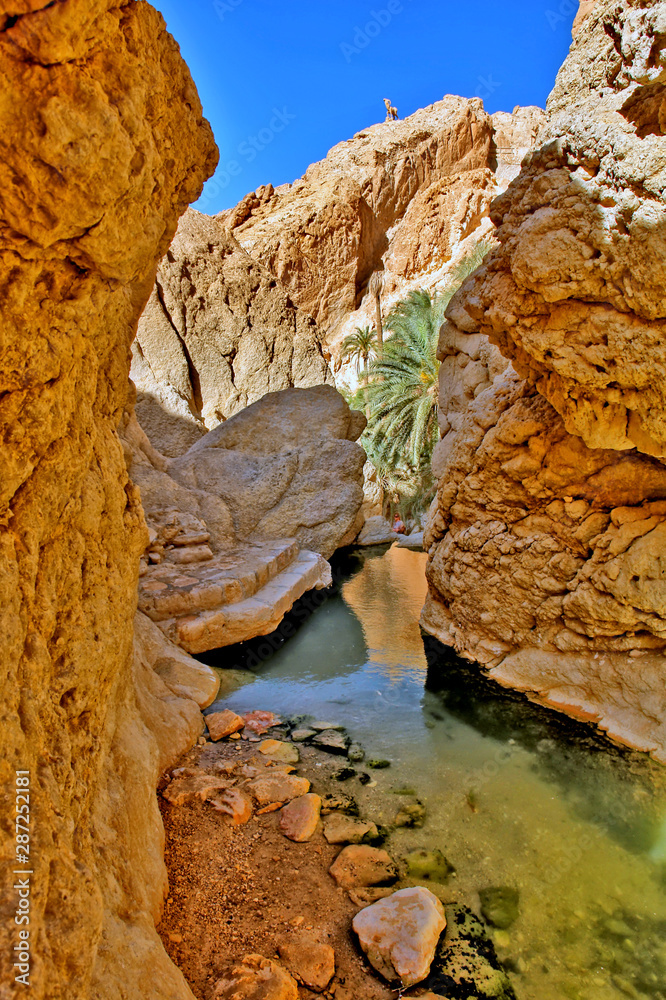 Tunezyjski Kanion Chibika w Tamagra na Sacharze Stock Photo | Adobe Stock