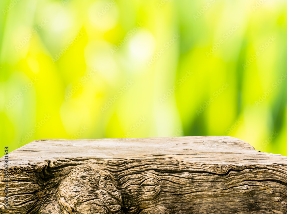 Beautiful texture of old tree stump table top on blur green garden farm ...