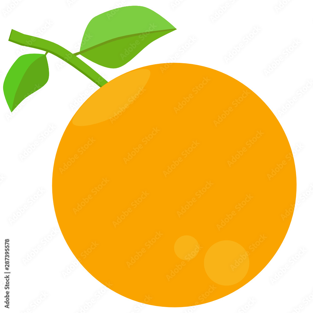 Orange Fruit Vector Design