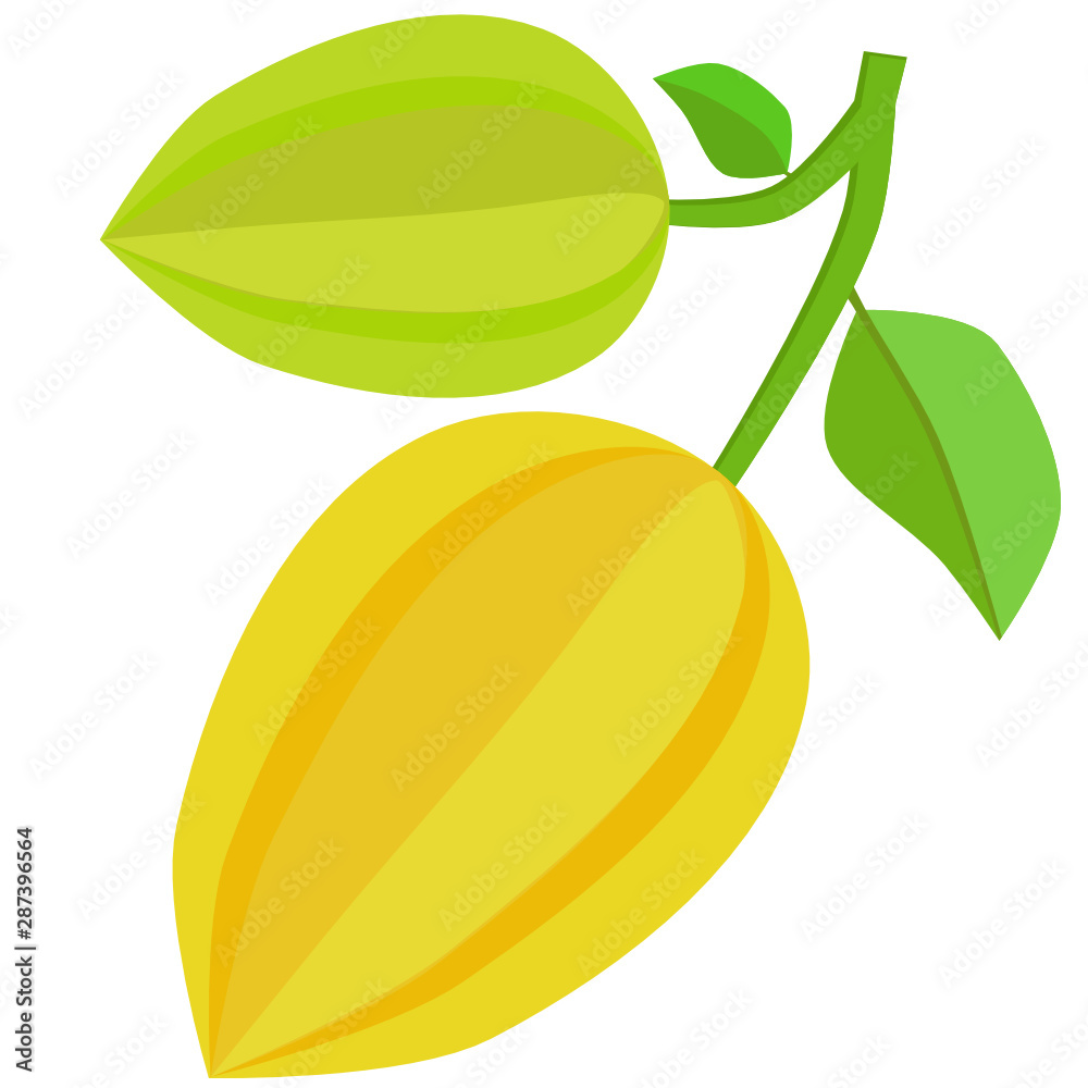 star fruit cartoon illustration of the fruit in 2d design style Stock ...