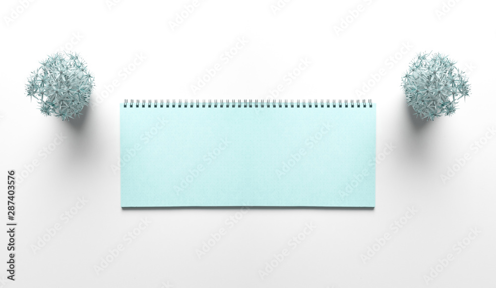 blank notebook with celeste bleu papers and two Allium flower vases on ...