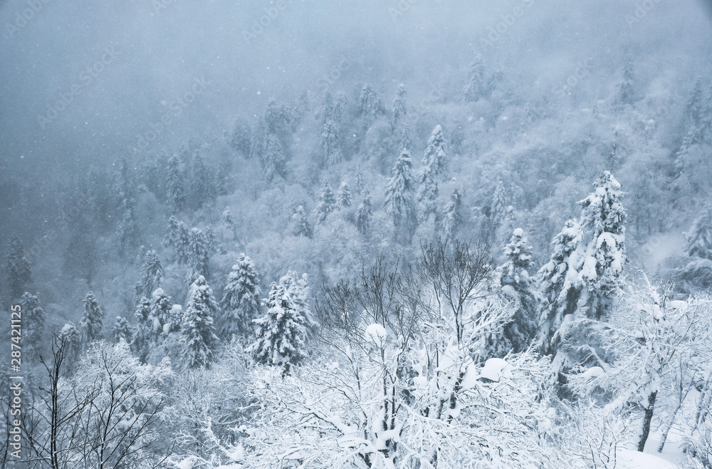 Weather Snowy