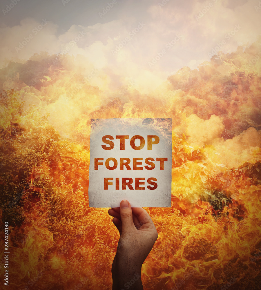 Human hand holding a paper sheet with stop forest fires message in the ...