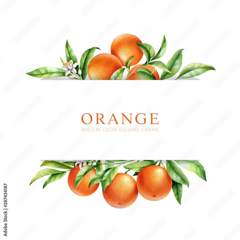 Orange tree branches frame template. Isolated layout for package design ...