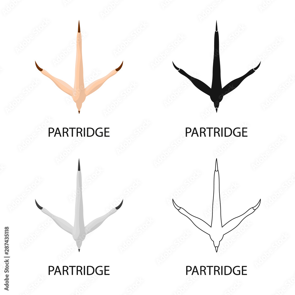 Vector illustration of partridge and trail icon. Set of partridge and ...
