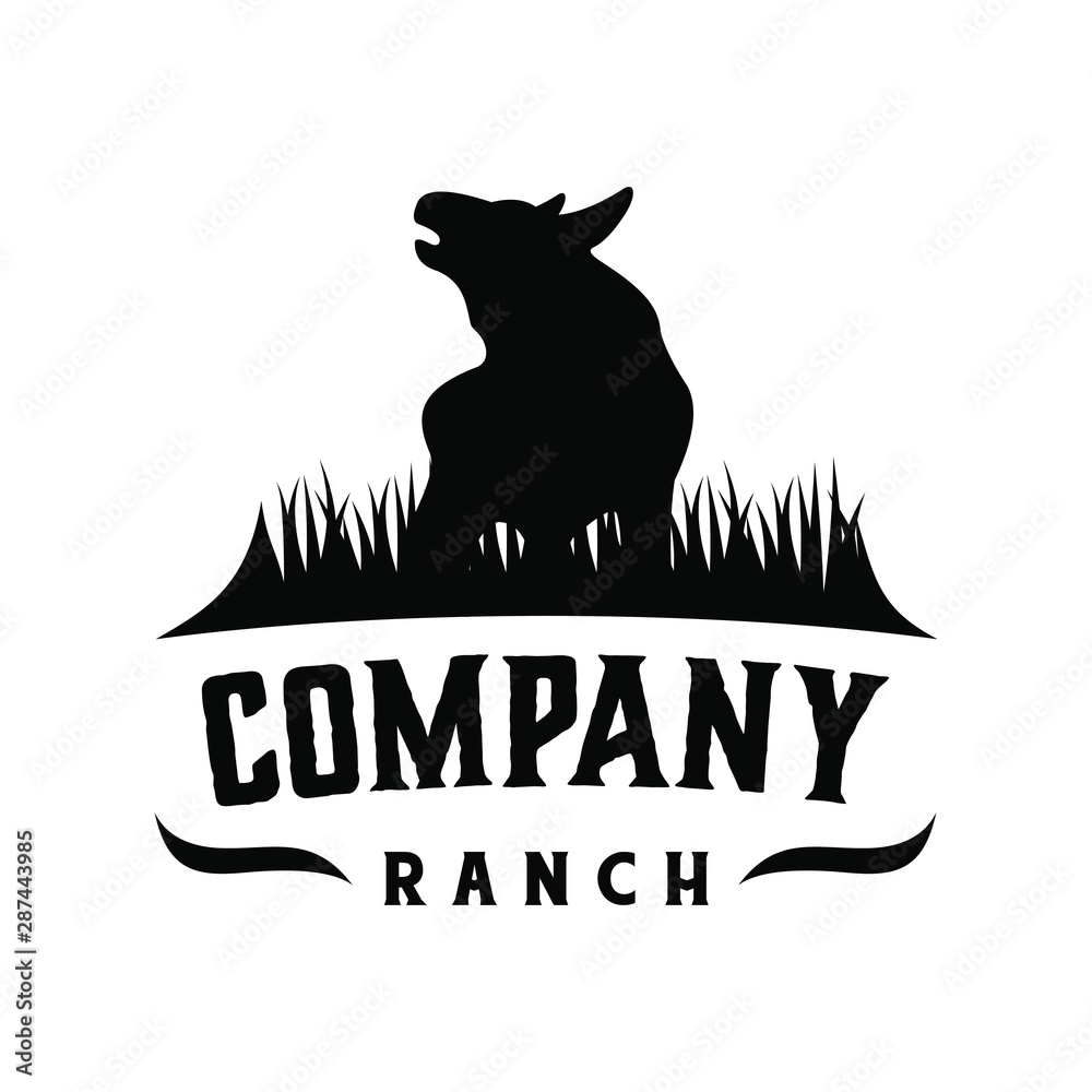vintage cow/ angus / bull / buffalo on grass for ranch logo design ...