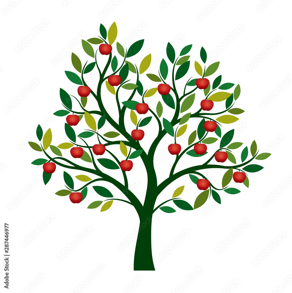 Beautiful Vector Apple Tree on white background. Vector Illustration ...
