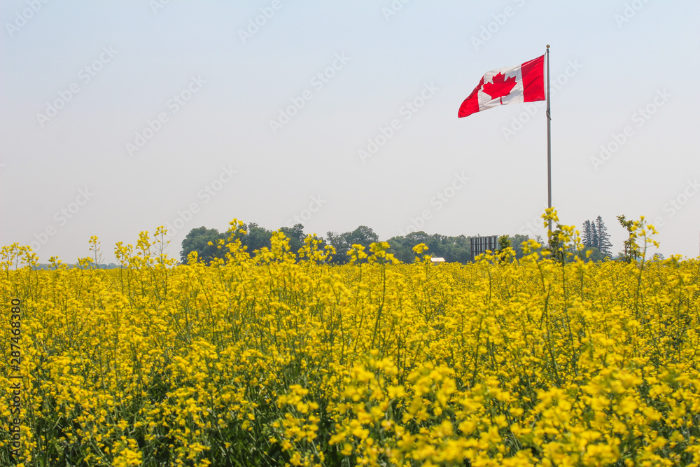 Canadian farm Stock Photo | Adobe Stock