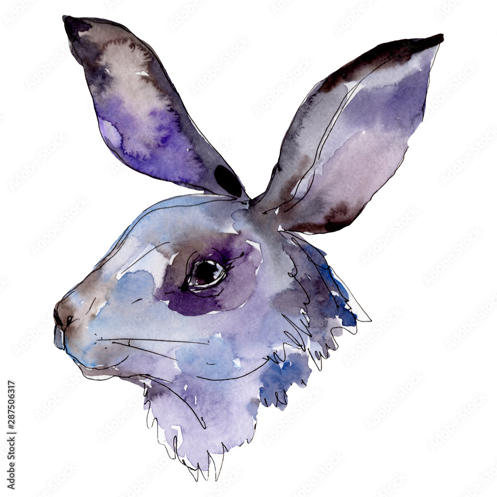 Rabbit head farm animal isolated. Watercolor background illustration ...