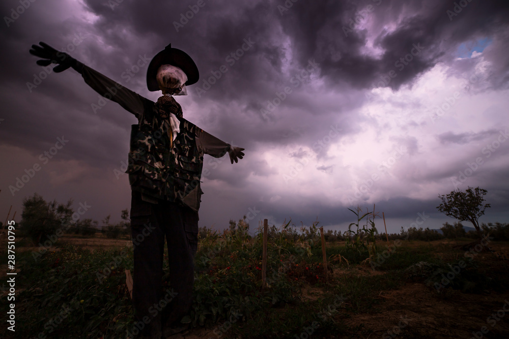 Stormy Field Wallpaper