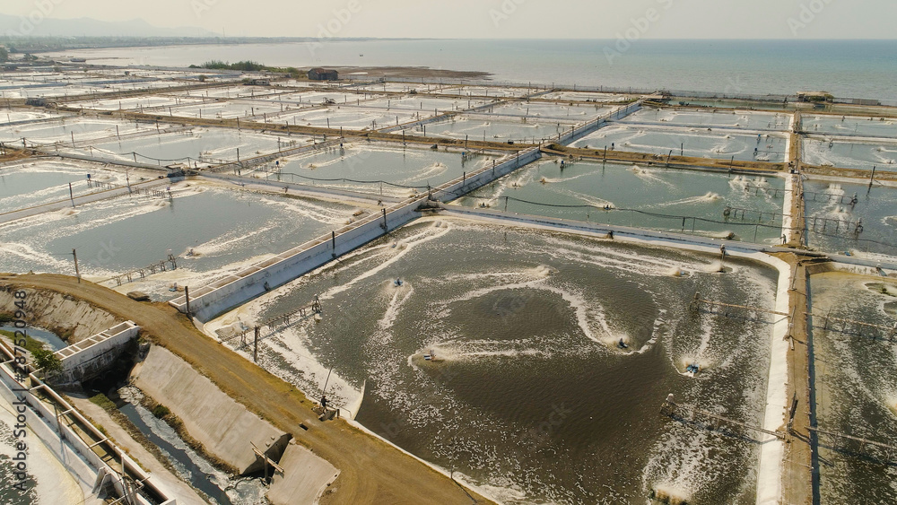 shrimp farm, prawn farming with with aerator pump oxygenation water ...