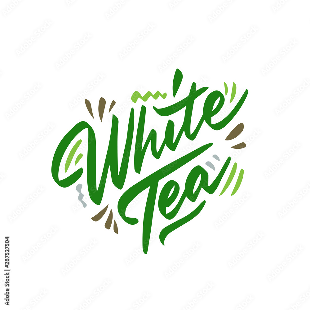 Vetor de White tea hand drawn illustration. Template for card banner ...