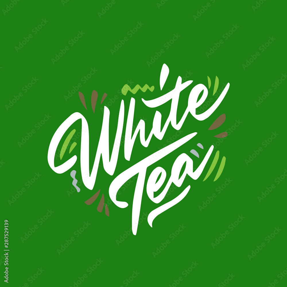 Vetor de White tea hand drawn illustration. Template for card banner ...