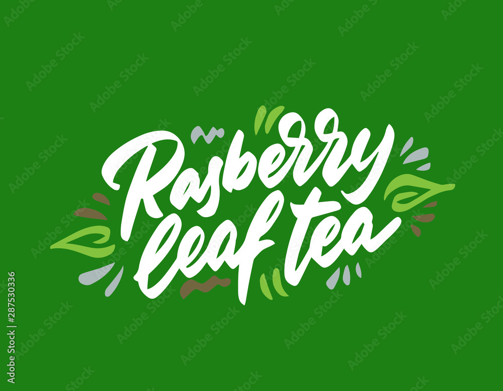 Raspberry leaf tea hand drawn illustration. Template for card banner ...