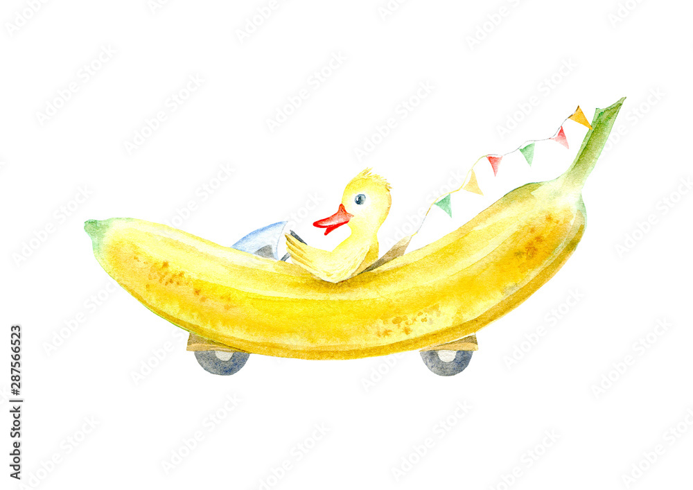 Duck on a banana machine.Travel sketch. White background.Watercolor ...