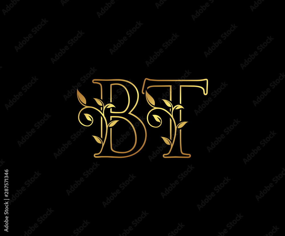 Initial letter B and T, BT, Gold Logo Icon, classy gold letter monogram ...