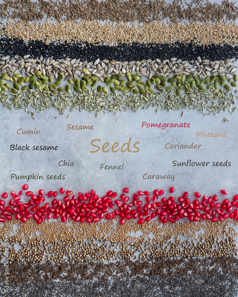 Semillas saludables sobre fondo de cemento gris. Cada semilla con su ...