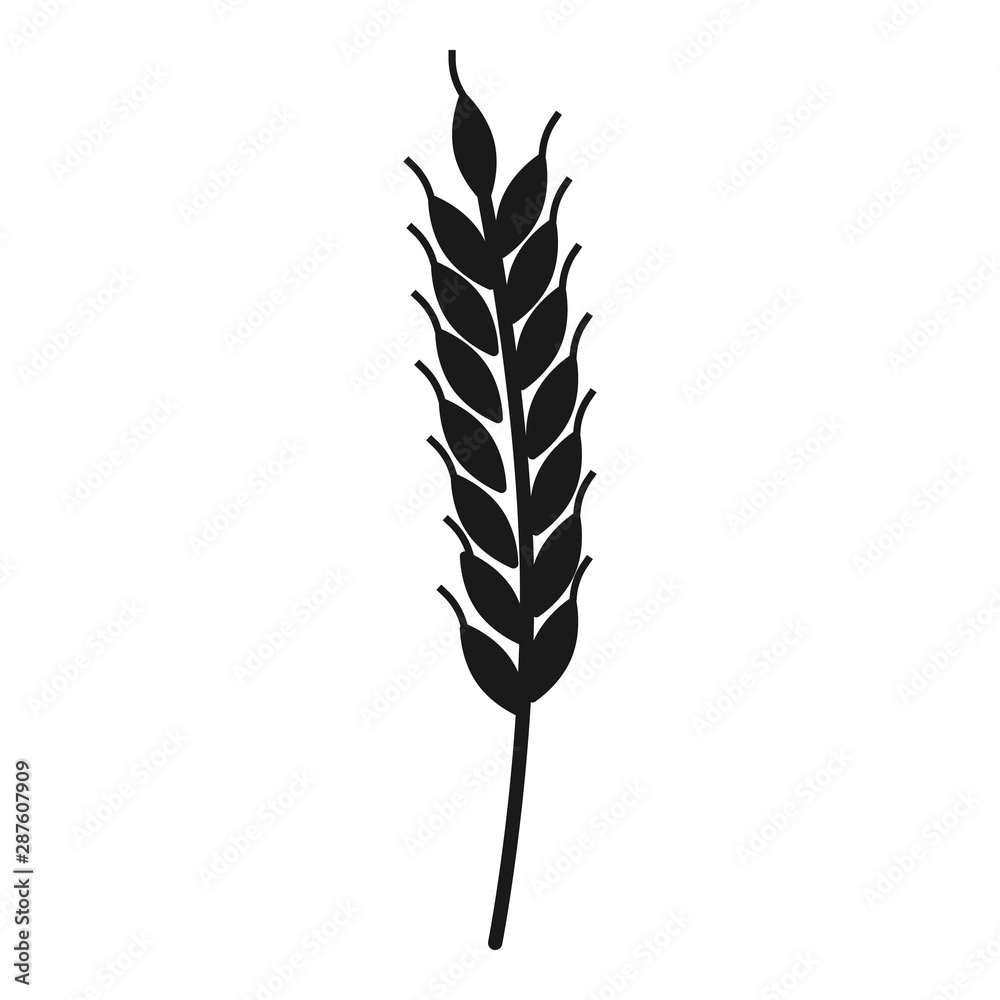 Wheat Illustration Vector