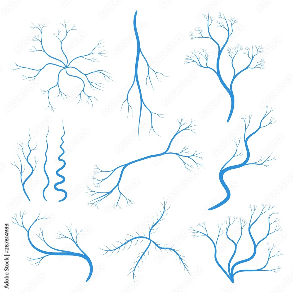 Set of human veins or vessel, blue capillaries, arteries, eye vein ...