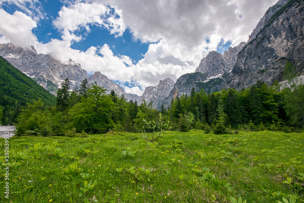 Triglav national natural Park in Slovenia, Pisnica valley. Hiking ...