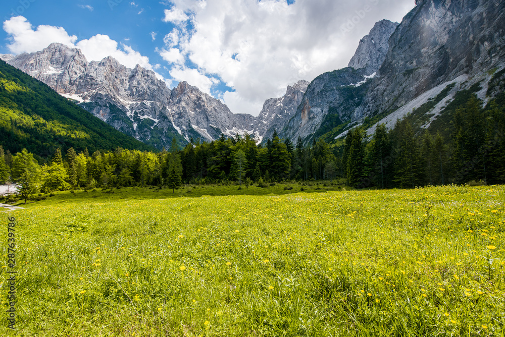 Triglav national natural Park in Slovenia, Pisnica valley. Hiking ...