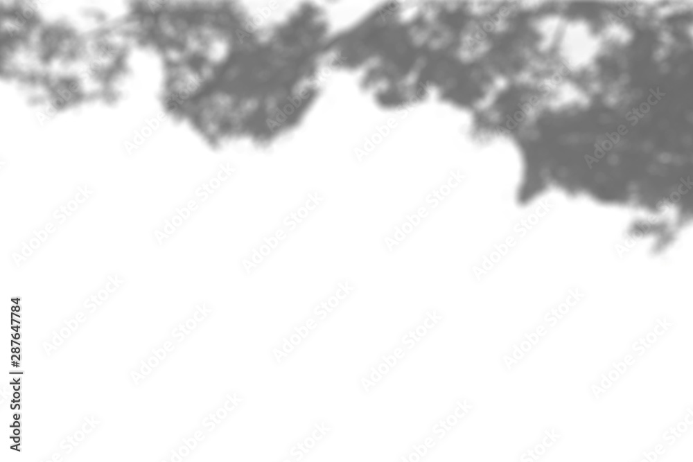 Black shadow silhouette and overlay on the white isolated background ...