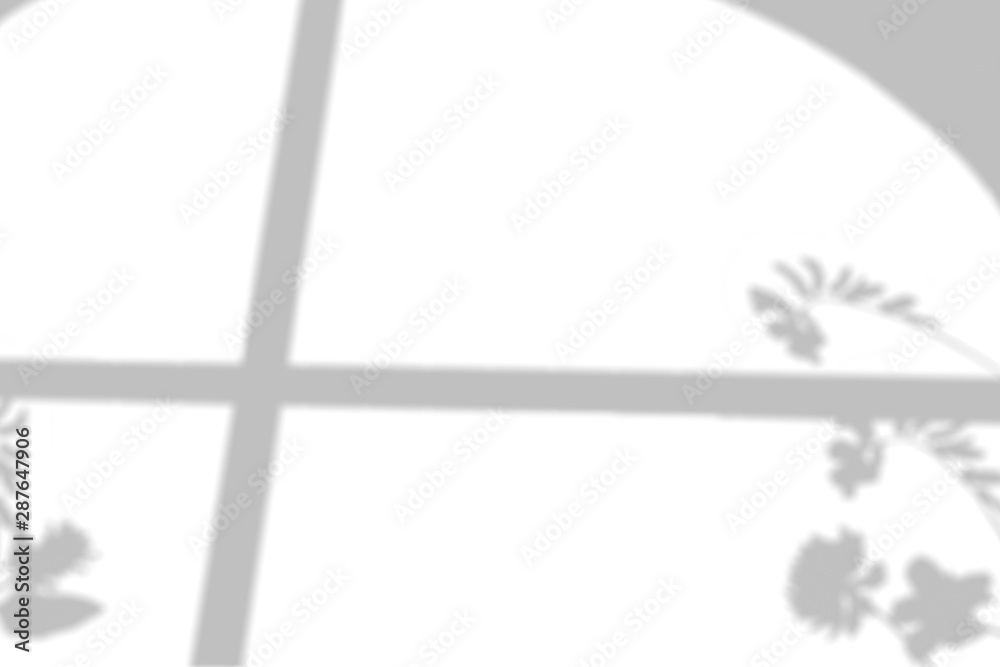 Black shadow silhouette and overlay on the white isolated background ...