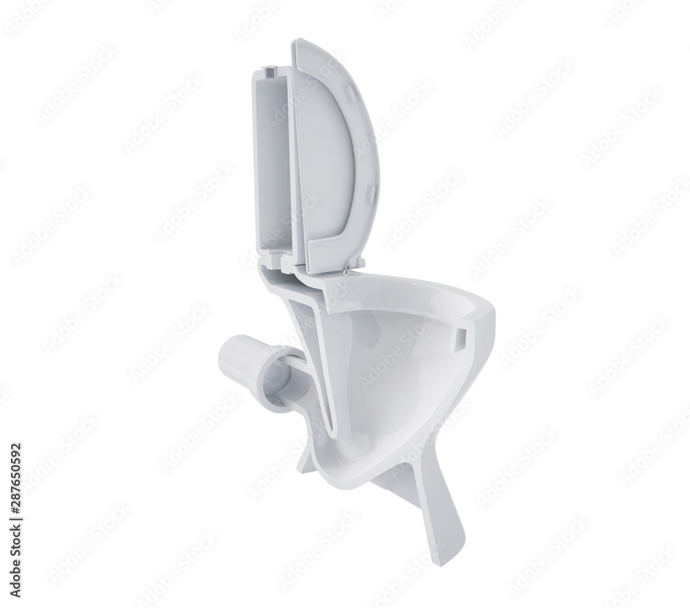 The cross-section structure of the toilet (the system). White color ...