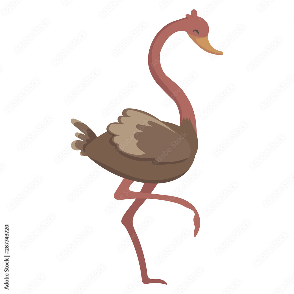 Cartoon ostrich. Vector illustration of a cute ostrich. Drawing birds ...