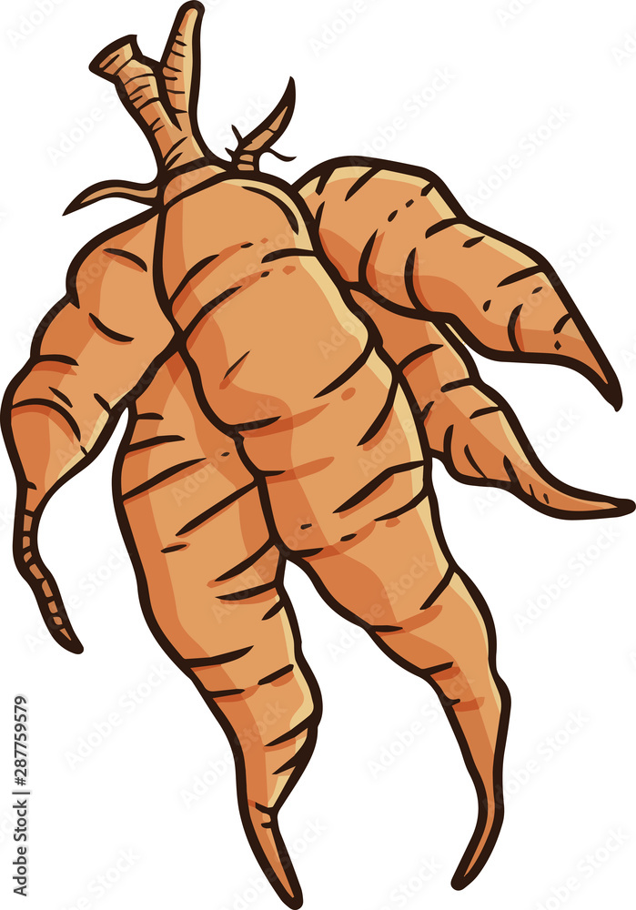 Funny and cute raw cassava in cartoon style Stock Vector | Adobe Stock
