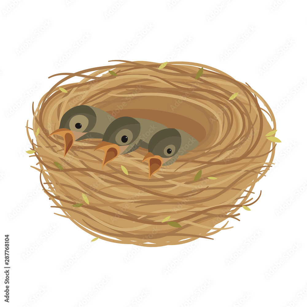 Cartoon bird's nest with chicks. Vector illustration for children ...
