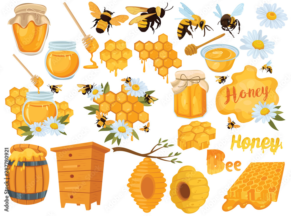 Honey Drawing