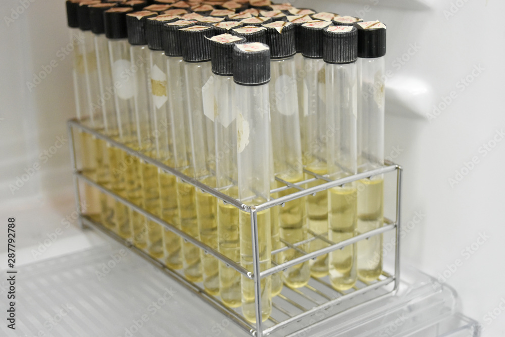 Poster laboratory microbiology bacteria agar tube in incubator quality ...