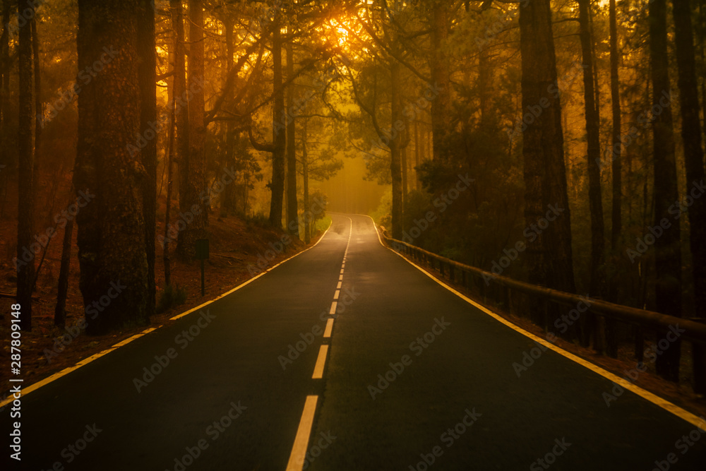 Beautiful long road with warm fire light at the end - forest burn and ...