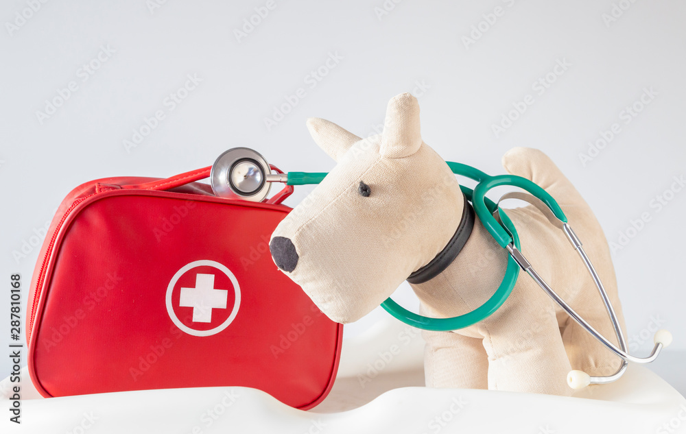 Soft toy doggy on a white background with first aid kit and stethoscope ...
