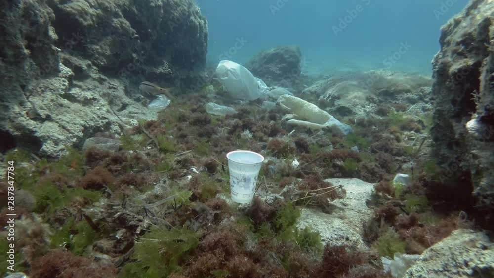 Plastic pollution, white plastic cup slowly sinks to the bottom covered ...