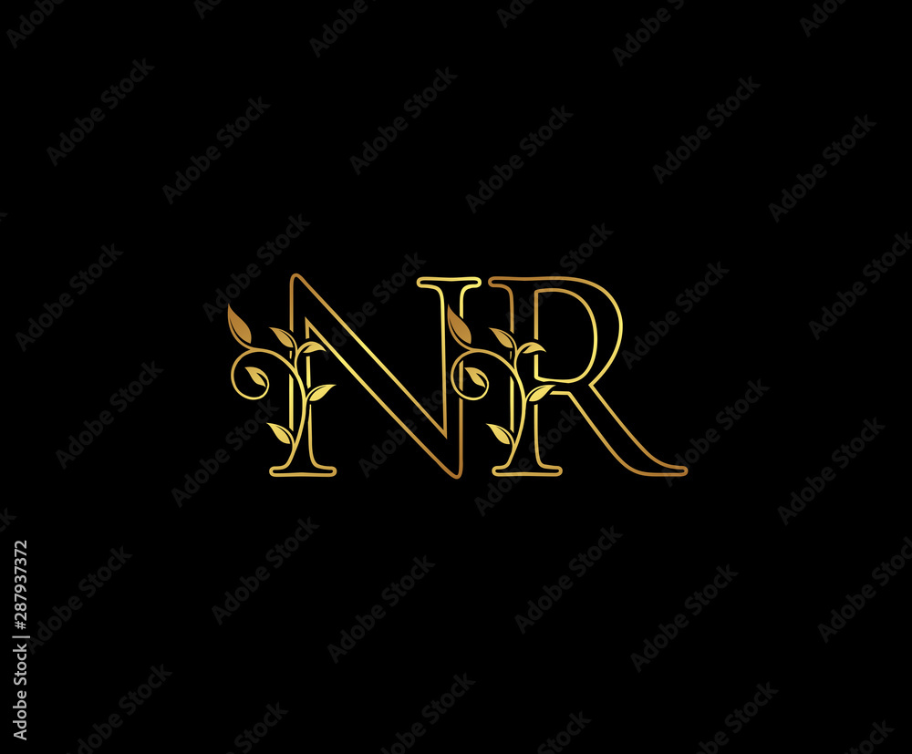 Initial letter N and R, NR, Gold Logo Icon, classy gold letter monogram ...