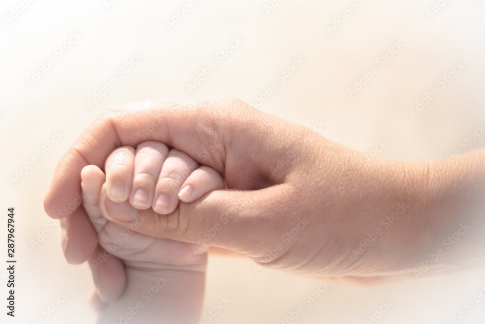 Mutter und Baby Hände Stock Photo | Adobe Stock
