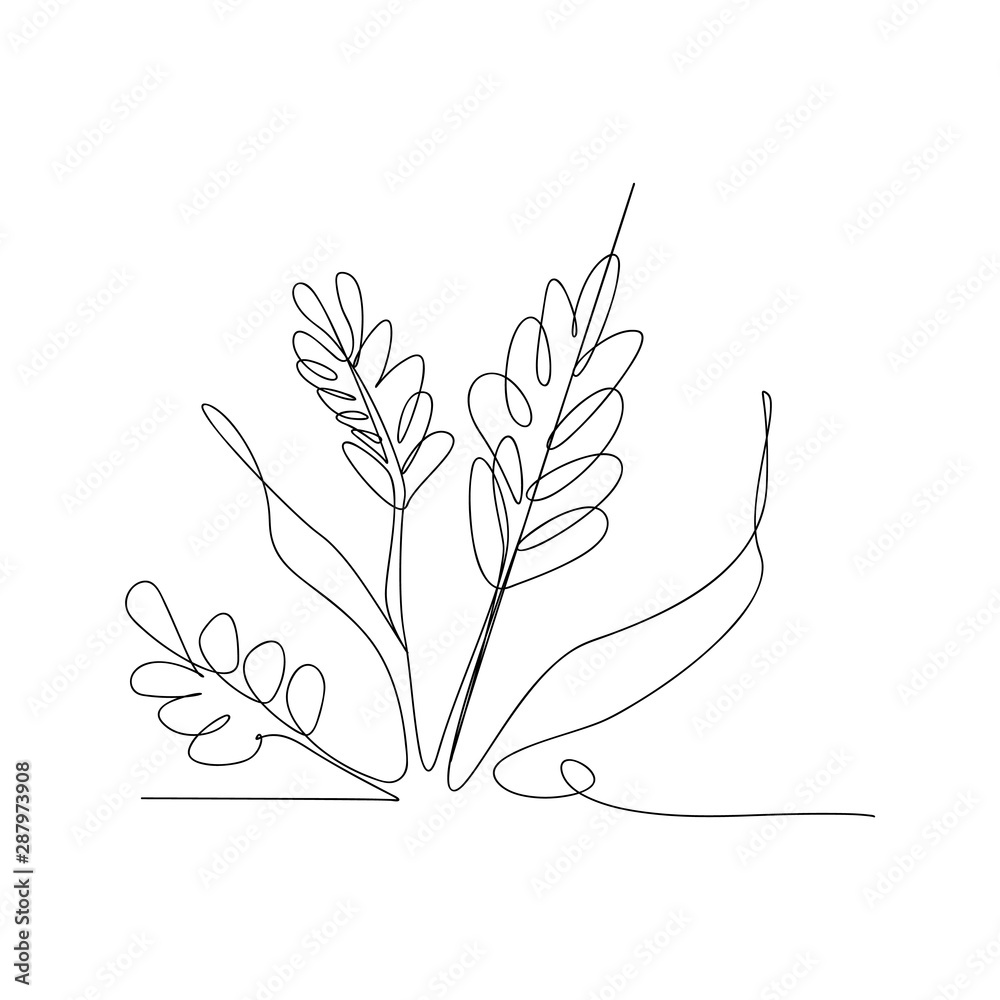 continuous line drawing of rice ears and grains. isolated sketch ...