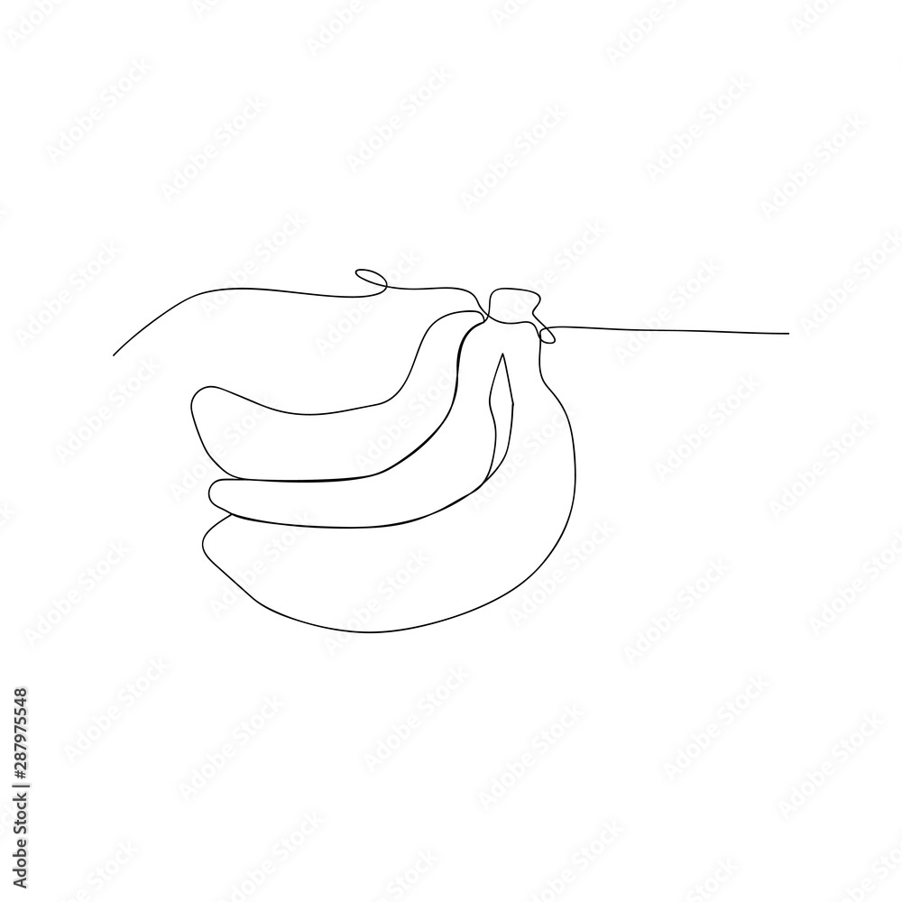 continuous line drawing of bananas. isolated sketch drawing of bananas ...