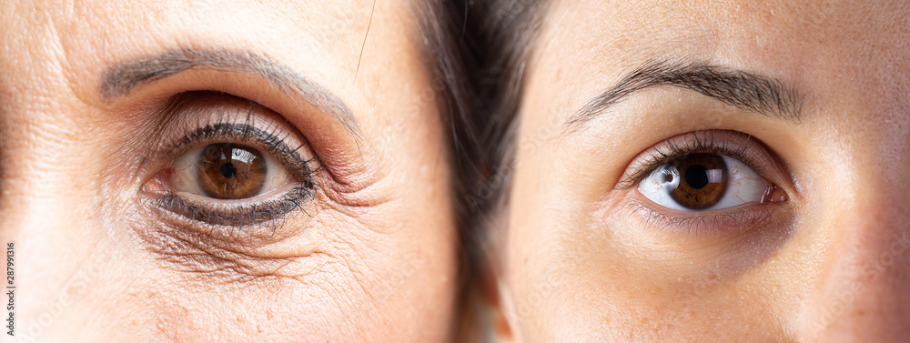 Human Aging Process
