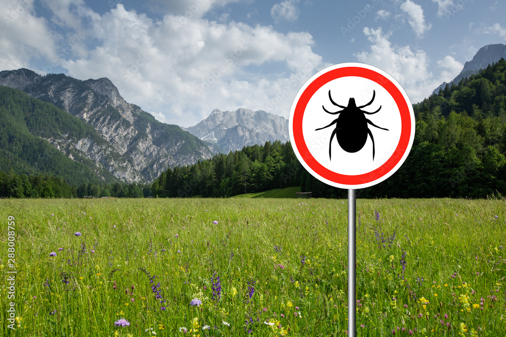 Tick insect warning sign on infected meadow. Lyme disease and ...