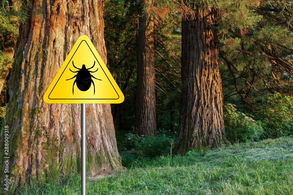 Tick insect warning sign in infected forest. Lyme disease and ...