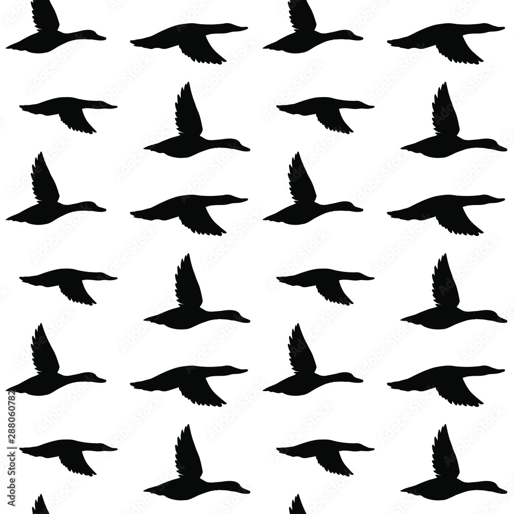 Vector seamless pattern of black flying duck silhouette isolated on ...
