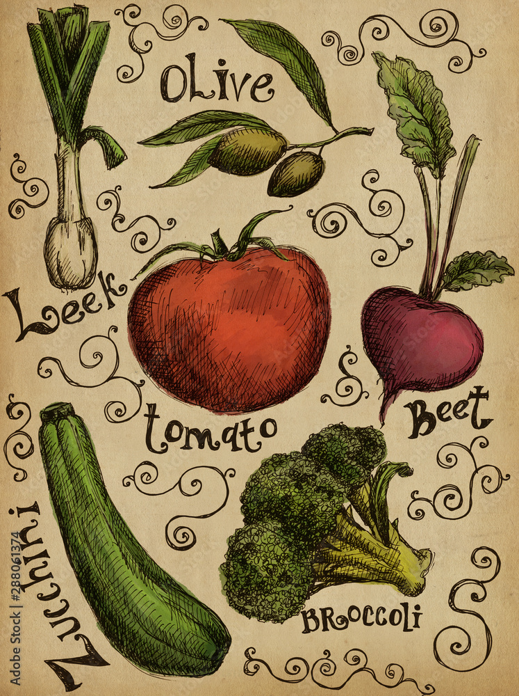 Set of different hand drawn fruits and vegetables. Art print for cafe ...