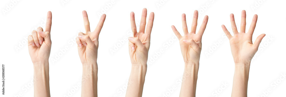 collage of human hands and fingers showing numbers one to five Stock ...