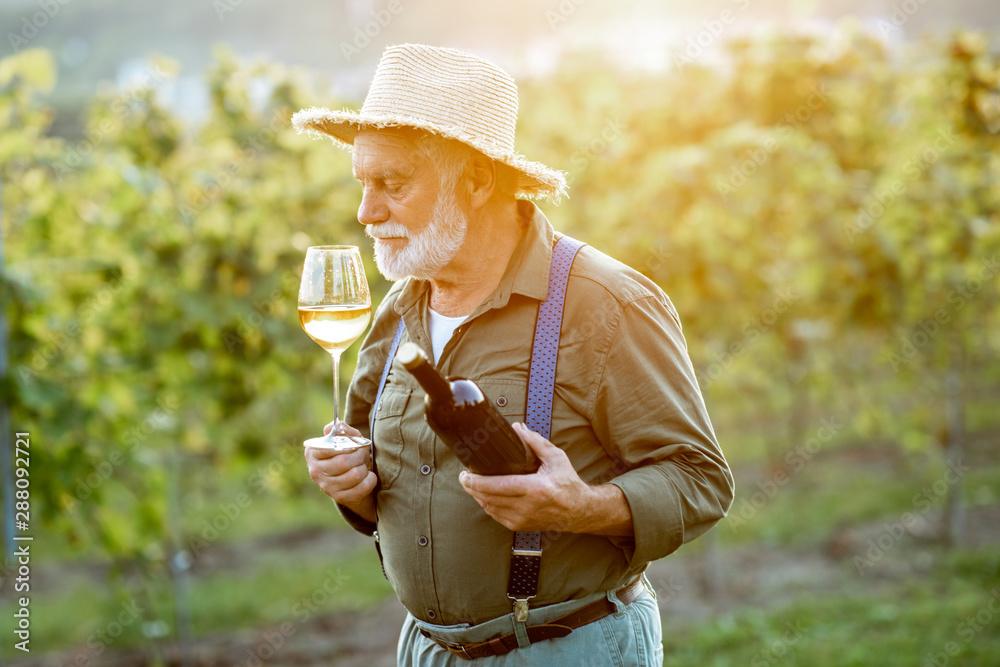Portrait of a senior well-dressed winemaker checking the wine quality ...